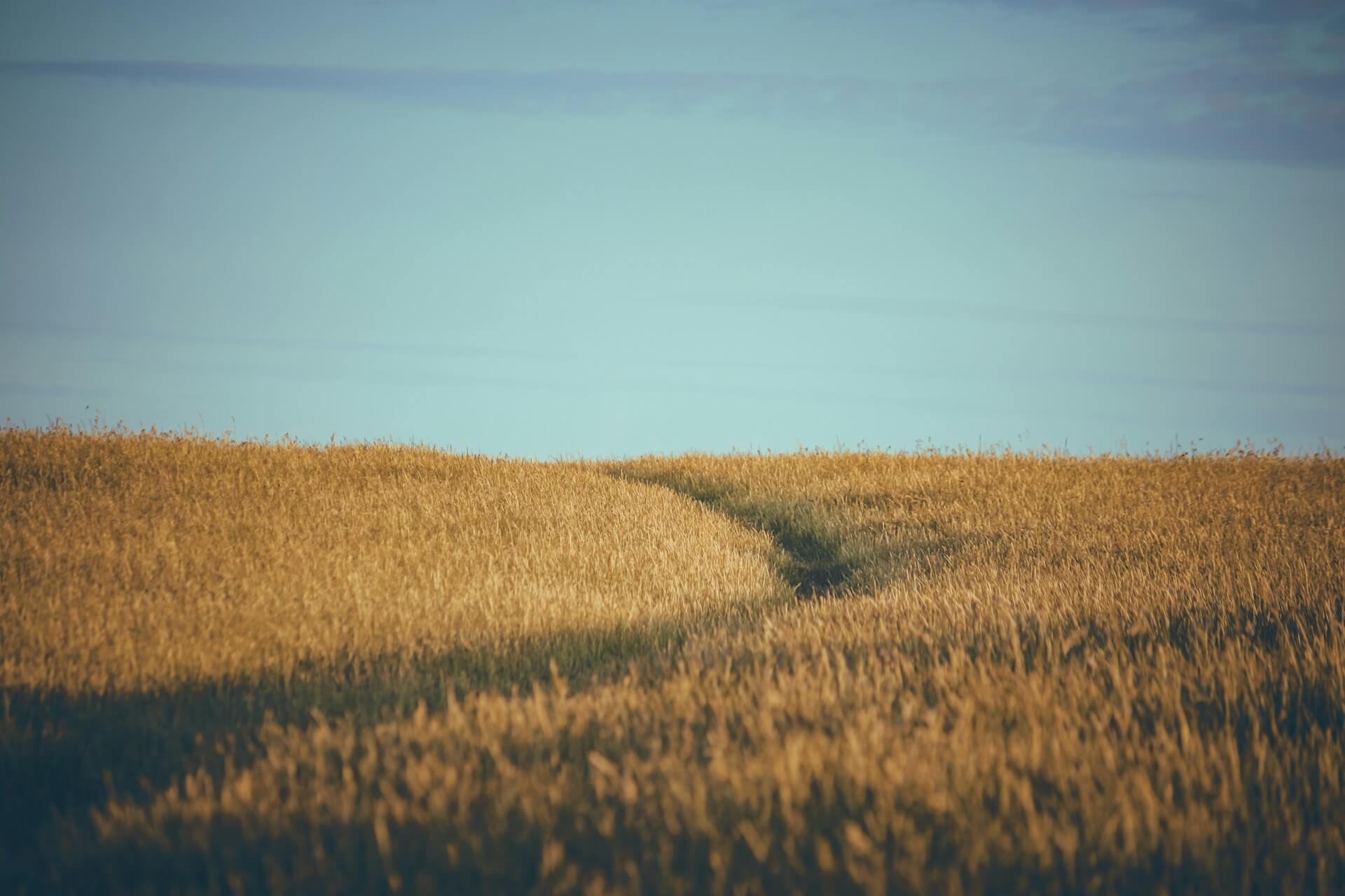 Sustainability narratives – what works and what doesn’t - Stratton ...